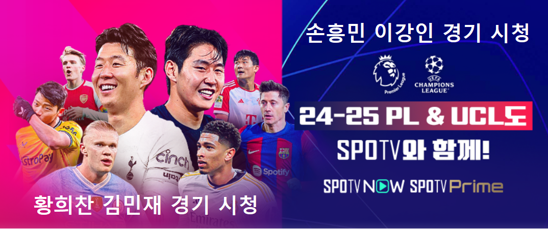 2425시즌 Pl 손흥민 토트넘 축구 경기 일정 중계 시청방법