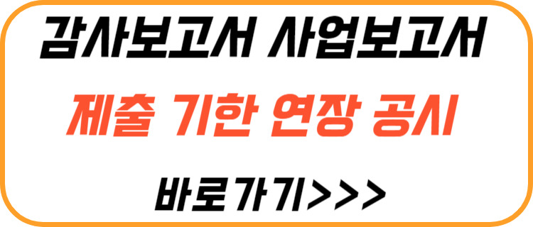 감사보고서 사업보고서 제출기한 연장공시 감사의견 종류 및 미제출
