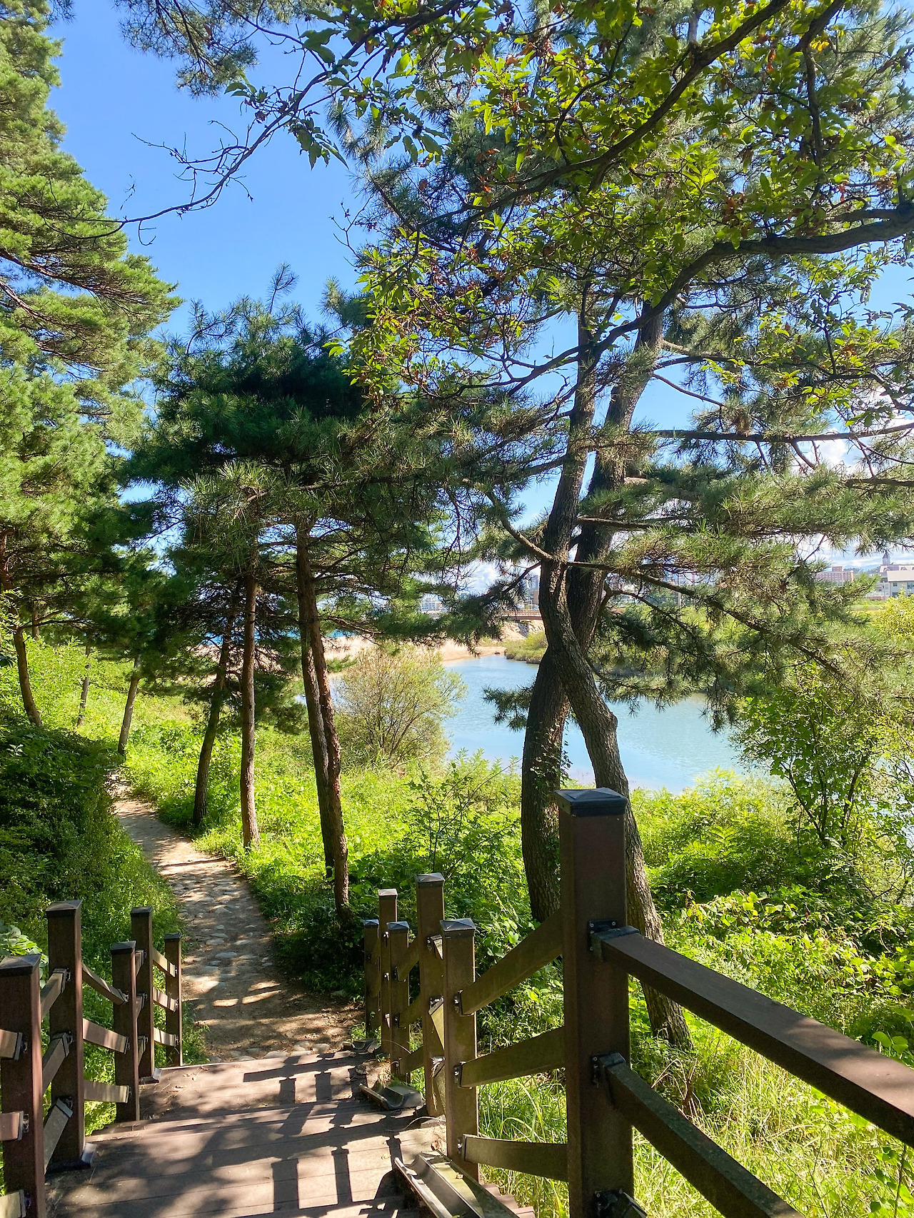 조용한 국내 여행지 추천 강원도 고성 가볼만한 곳