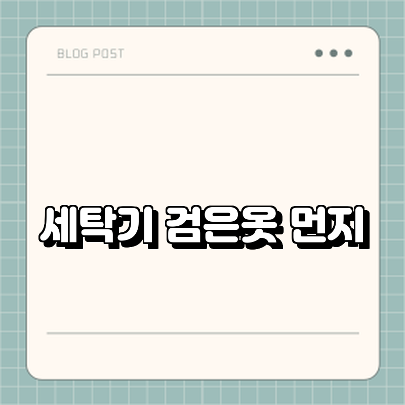 세탁기 검은옷 먼지 10kg 드럼 일반 통돌이 렌탈 통세척 추천 삼성 엘지lg 후기 총정리