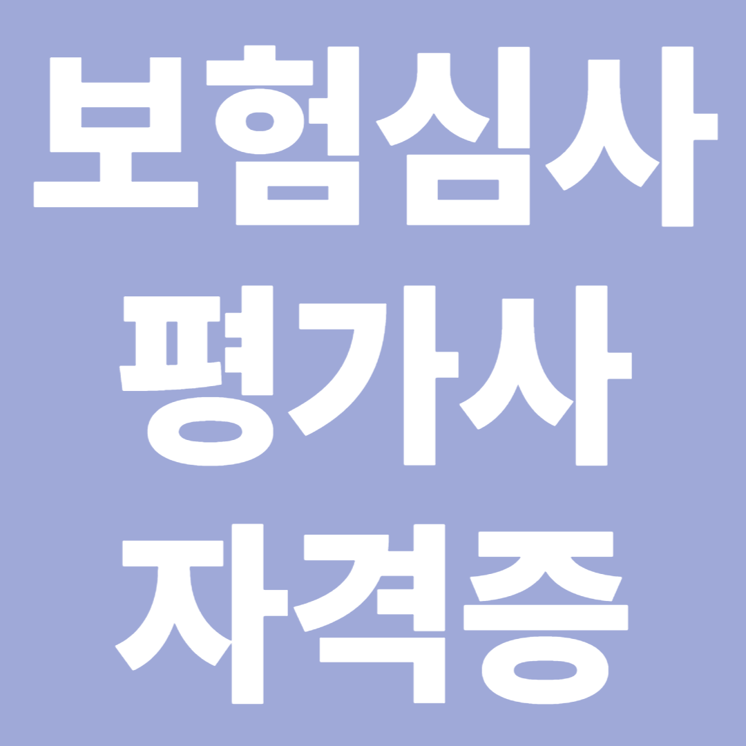 보험심사평가사 자격증 완전정리 자격 구조 시험 과목 취업 활용도 유사 자격 비교