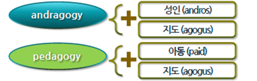 교육직 및 교육학과 필수 과목 성인 학습 및 상담론 요약 정리 9 앤드라고지