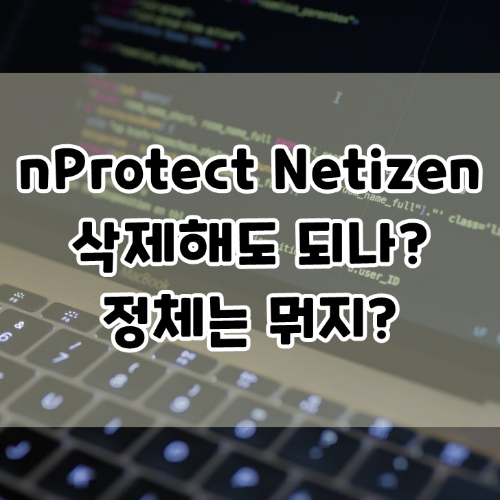 nProtect Netizen 프로그램이 뭐지. 삭제해도 되나?