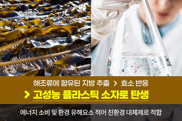 미역으로 만든 컵과 접시 환경을 위한 대체 플라스틱