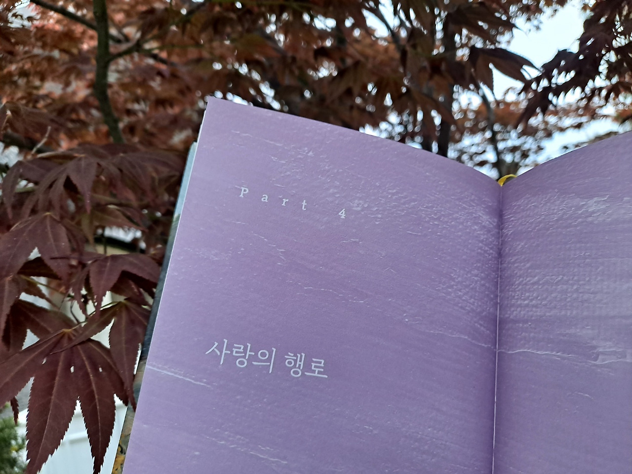 책 읽은 서대문 삶의 진실을 찾아 떠나는 책읽기 작가 박완서의 모래알만 한 진실이라도