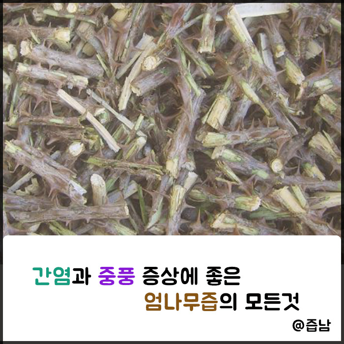 급성 간염과 간장 질환 증상에 좋은 엄나무즙 효능과 부작용
