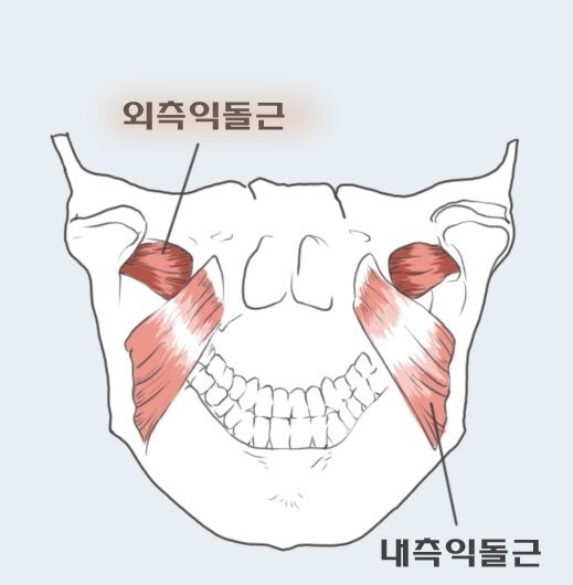 작고 예쁜 인형같은 얼굴형 만들기 2탄 교근내측익돌근외측익돌근 마사지