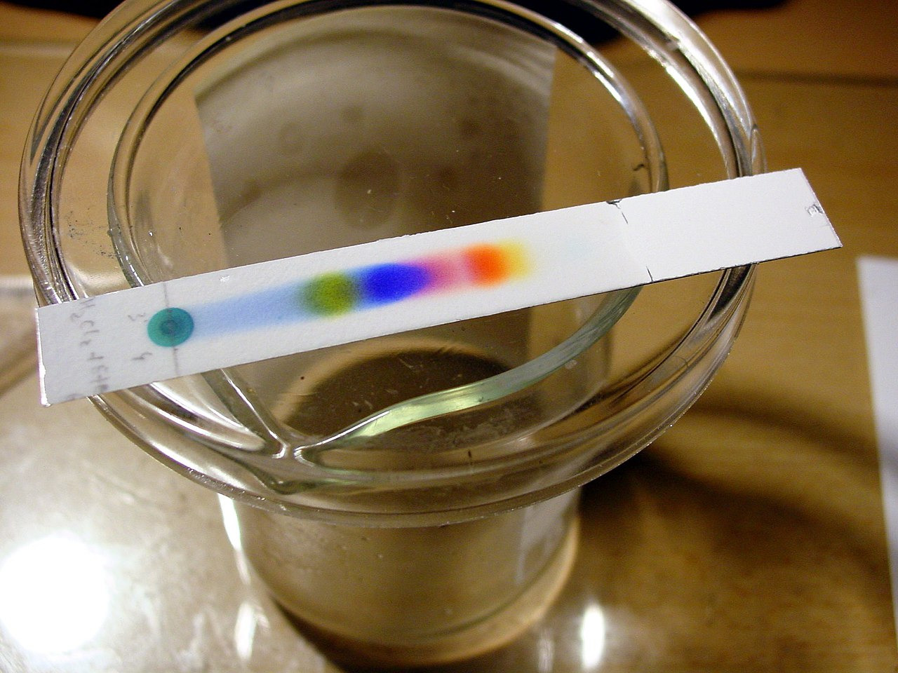 크로마토그래피chromatography의 원리와 종류