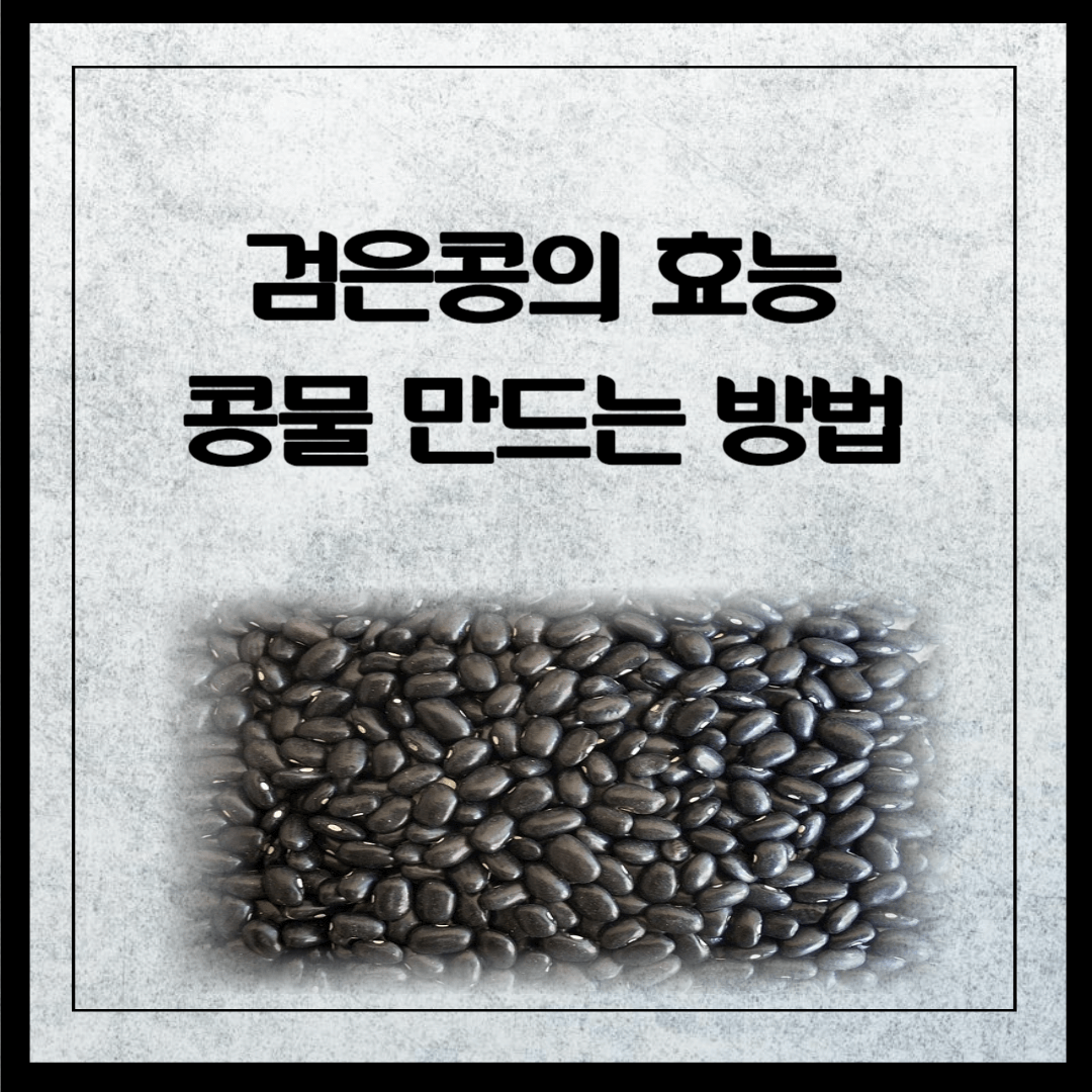 검은콩의 효능 검은콩 콩물 만드는 방법