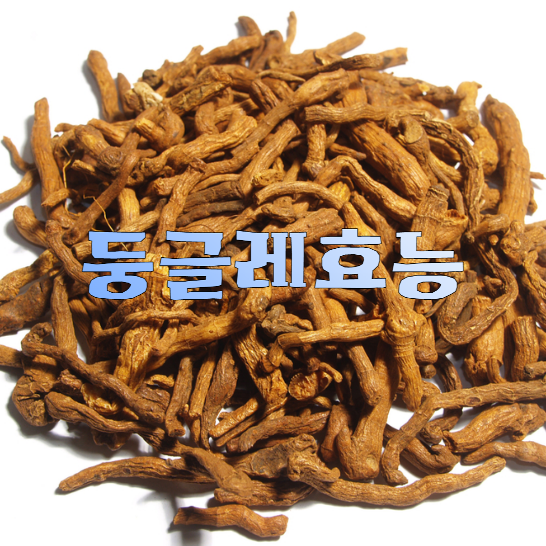 둥글레 효능 영양성분 고르는 법 부작용