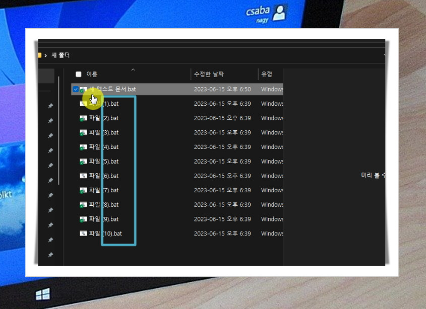 윈도우10 파일 확장자 변경하는 방법 일괄 가능