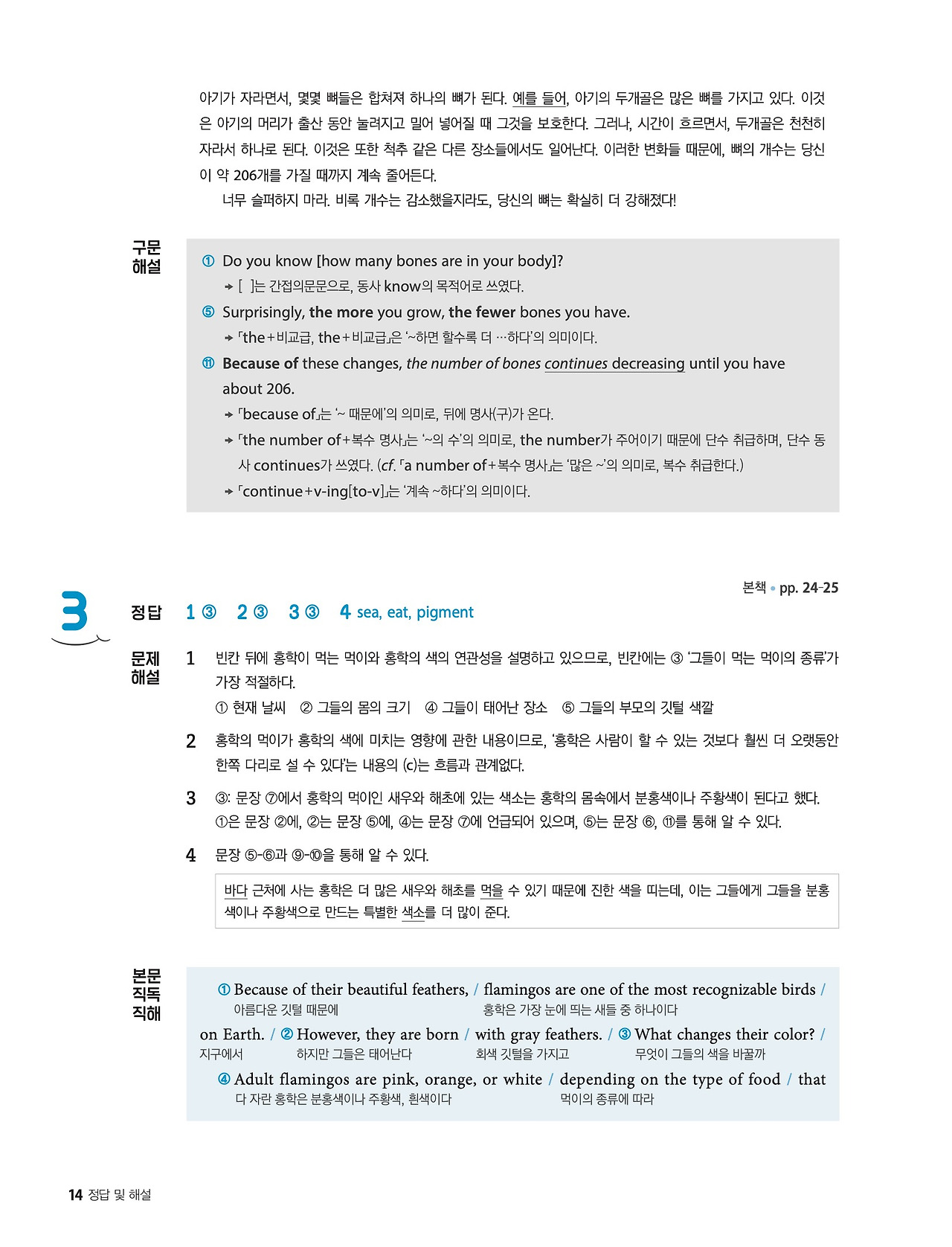 2025 최신 개정 능률 리딩튜터 주니어 3 답지 Pdf 다운로드 및 바로 보는 사진 답지 제공
