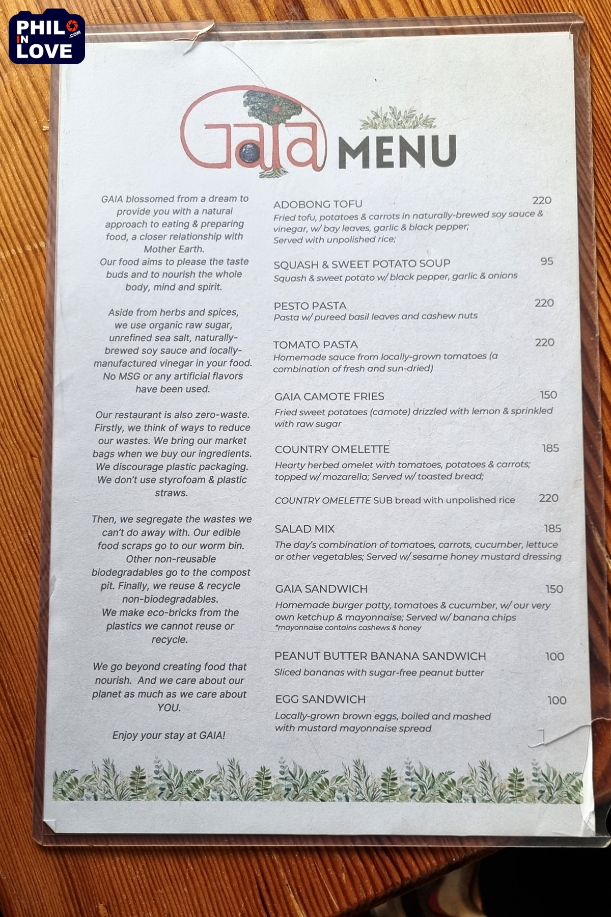 필리핀 사가다 여행 가이아 카페gaia Cafe에서의 뜨거운 사가다 커피 한 잔