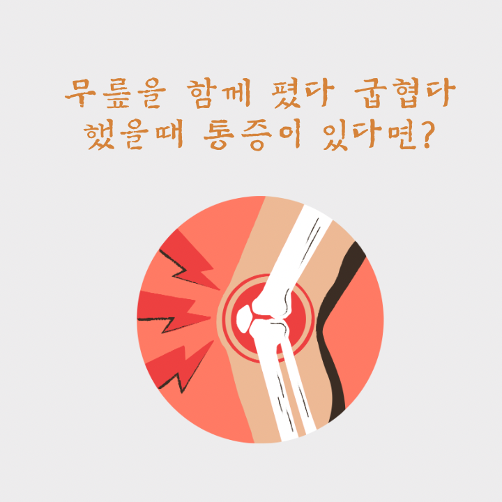 무릎 연골 찢어짐 반월상연골 파열 확실하게 알아보기 투잡하는 간호사