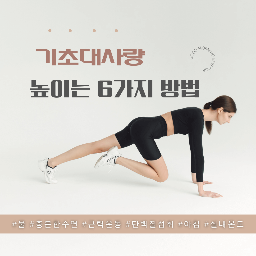 기초대사량 높이는 6가지 방법 무조건 실천하기