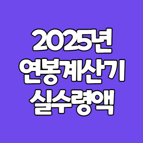 2025년 연봉별 실수령액 연봉 1억 실수령액표 세후 월급 계산기