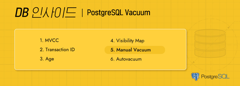 DB 인사이드 | PostgreSQL Vacuum - 5. Manual Vacuum