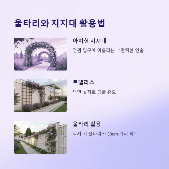 넝쿨 장미 키우기 꺽꽂이삽목 시기 및 방법 울타리 지지대 병충해 묘목 심기 꽃말