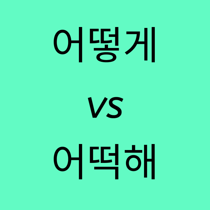 어떻게 Vs 어떡해 차이점과 올바른 사용법에 대한 깊이 있는 분석