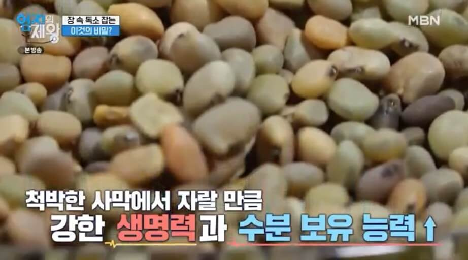 구아검 가수분해물 효능 4가지 먹는 법 부작용 제품 추천