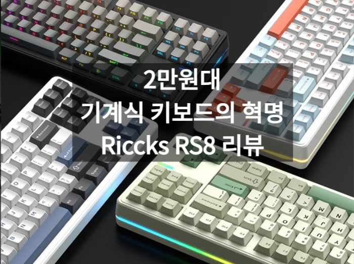 2만원대 기계식 키보드의 혁명, Riccks RS8 리뷰