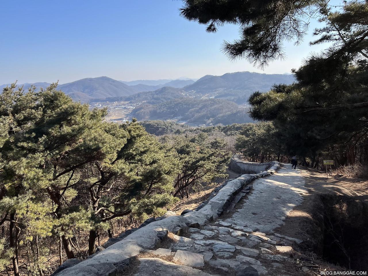 청주 상당산성 자연휴양림 숲속의집 아까시나무와 상당산성 등산로