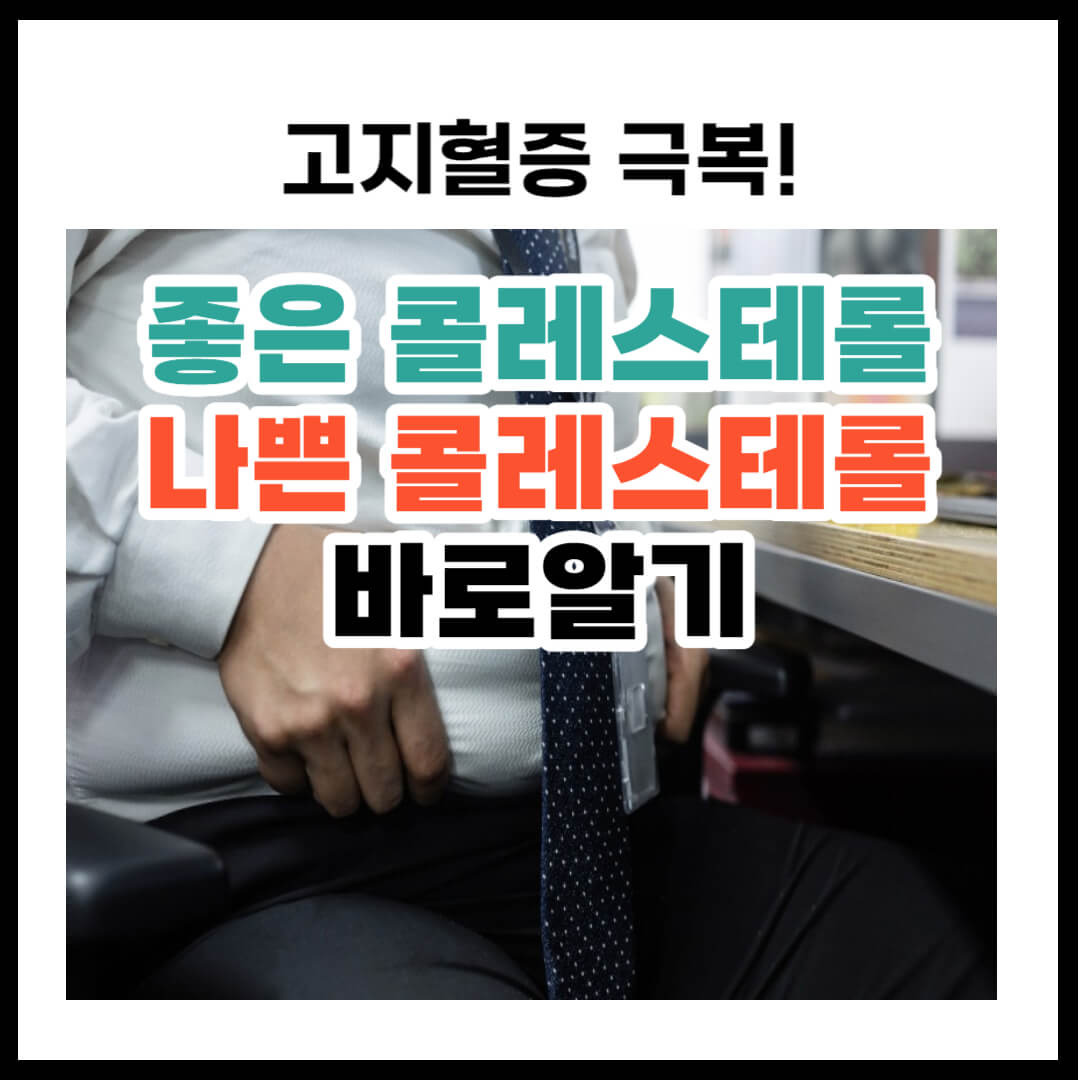 고지혈증과 좋은 콜레스테롤hdl 나쁜 콜레스테롤ldl 바로알기