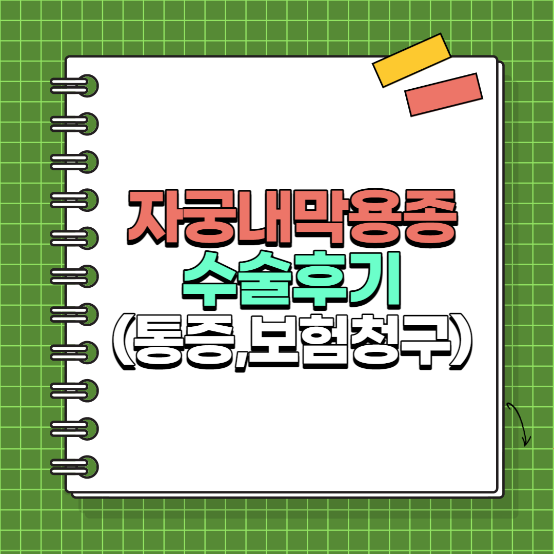 자궁내막폴립 제거수술 후기 자궁내시경 자궁경 수술 수면마취 보험청구