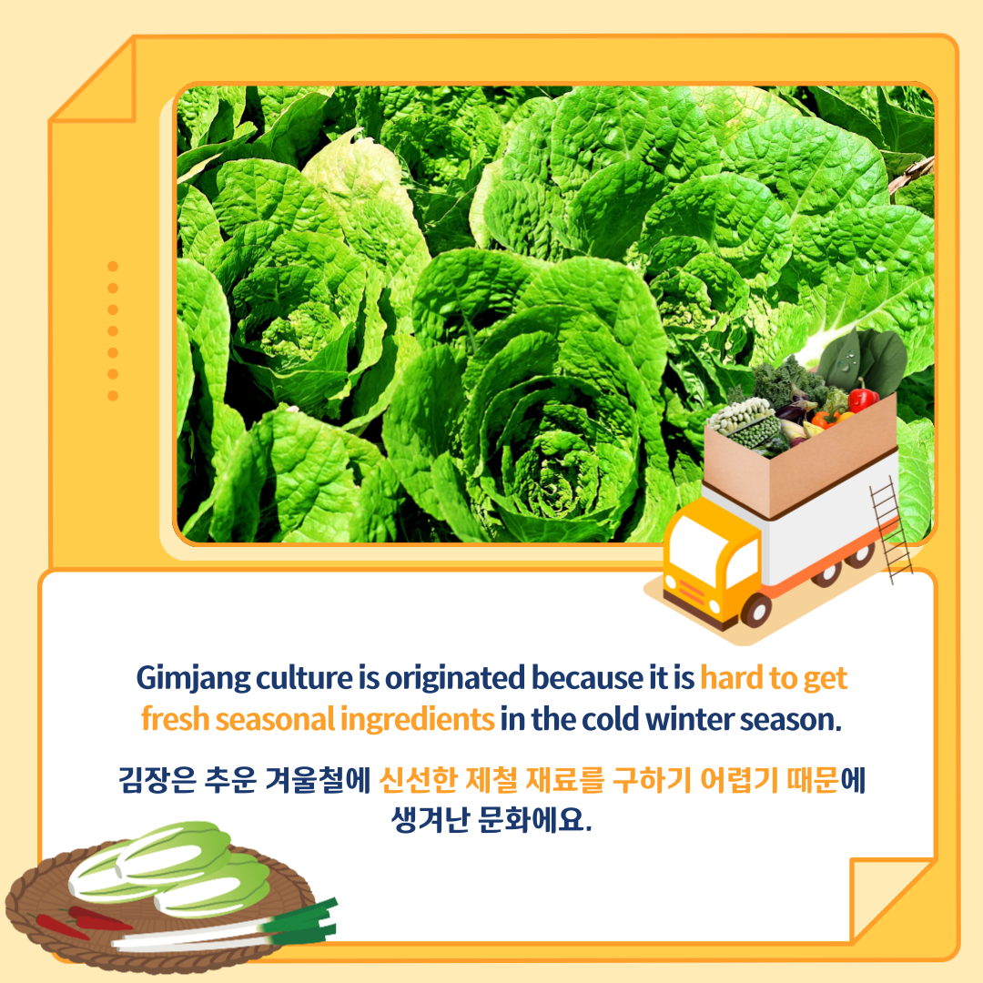 Daily Jokoer Lets Make Kimchi Gimjang┃언어문화ngo 조인어스코리아