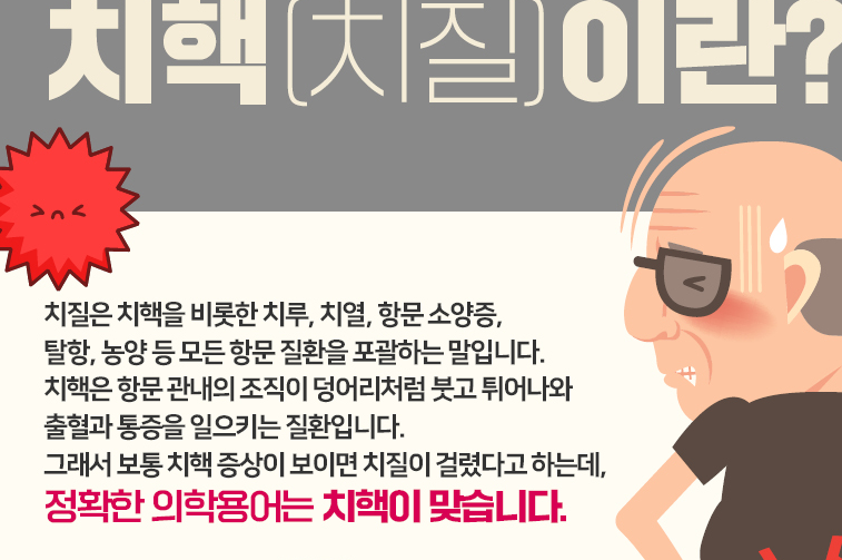 Ebs 치질명의 이두석 교수 김도선 교수 프로필 진료예약 서울인포스트