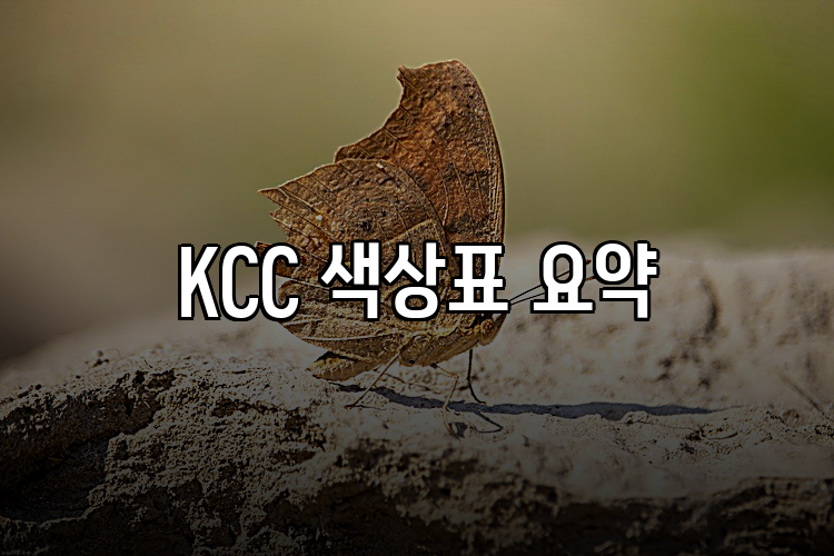 Kcc 페인트 색상표 확인 방법 모든 단계와 팁