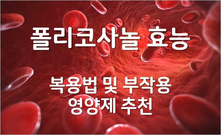 폴리코사놀 효능 6가지와 복용법 및 영양제 추천