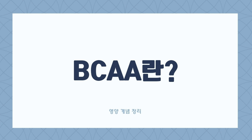 Bcaa 란 분지사슬 아미노산 개념정리