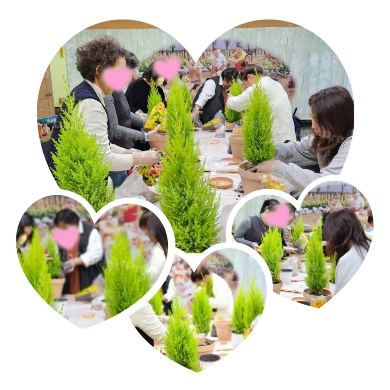 부모교육 힐링원예 광주원예치료강사 힐링스토리원예강사 보보샘 이보영원예치료강사