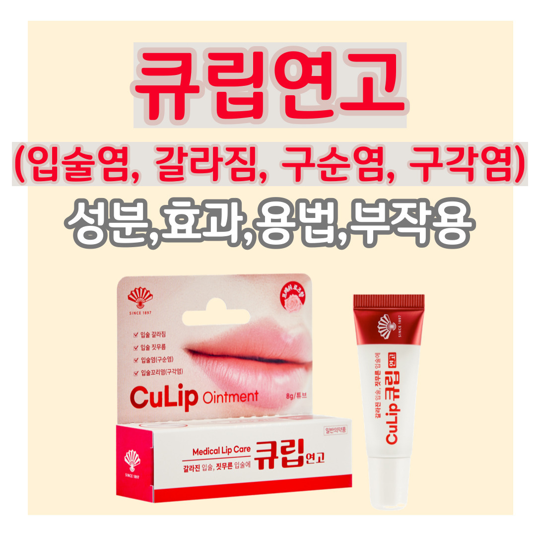 큐립연고 입술염 치료 효과와 사용법 총정리 입술 갈라짐 구순염 구각염