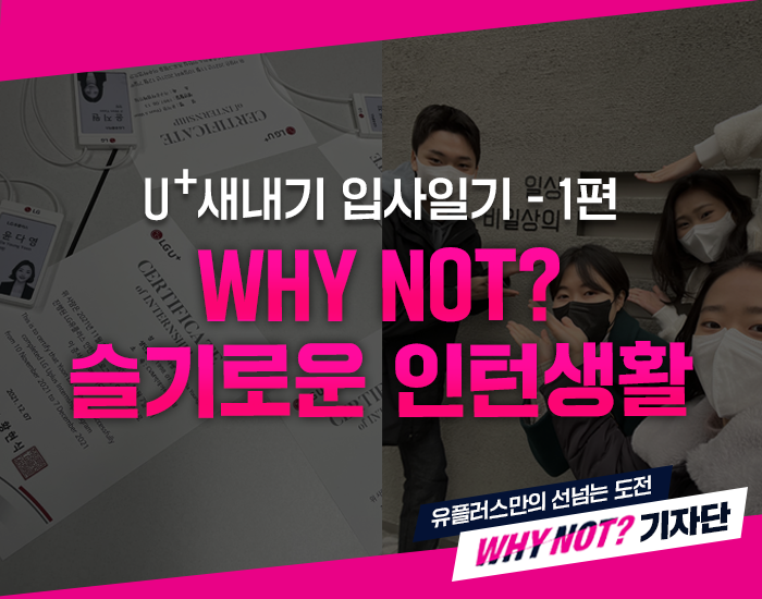 Why Not 기자단 U새내기 입사일기 1편 Why Not 슬기로운 인턴생활