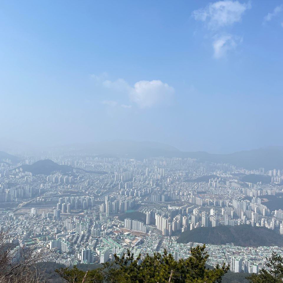 650칼로리 타파가능한 부산 해운대 장산 등산코스 왕복3시간주차안내 정불리의하루
