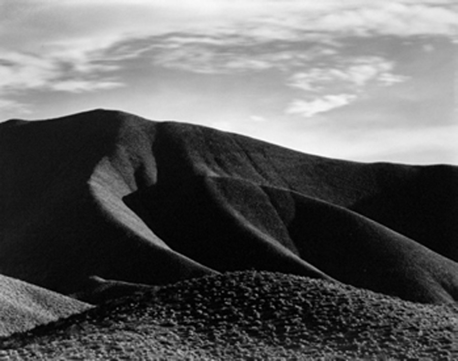 유명한 사진작가 29 에드워드 웨스턴 Edward Weston 조리개의 달인 미국 현대사진에 영향력 있는 사진작가 3049