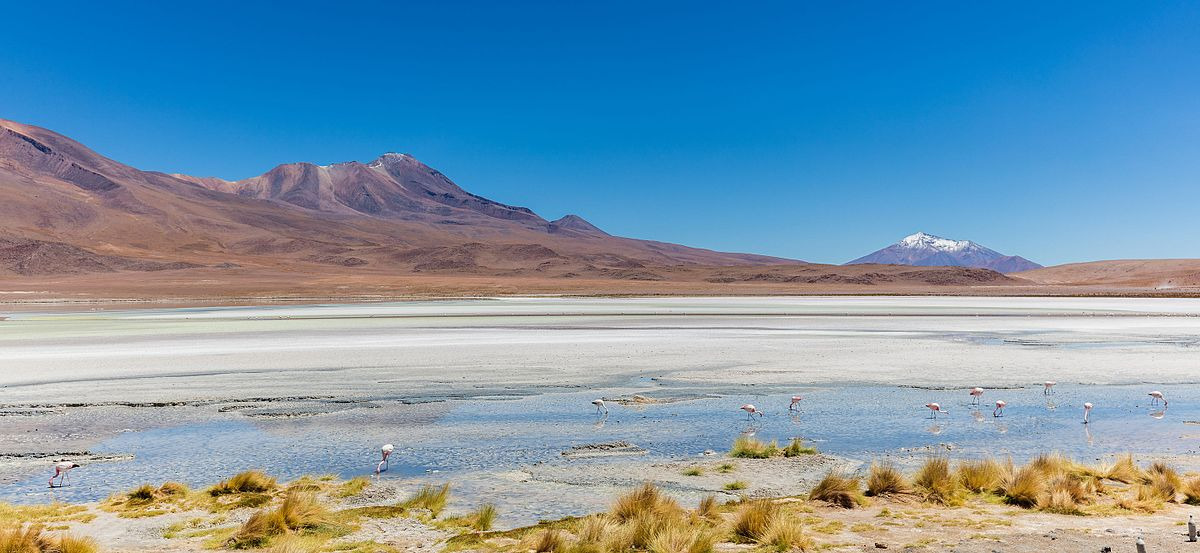 Laguna Hedionda: Bolivia's "Stinking Lake"
