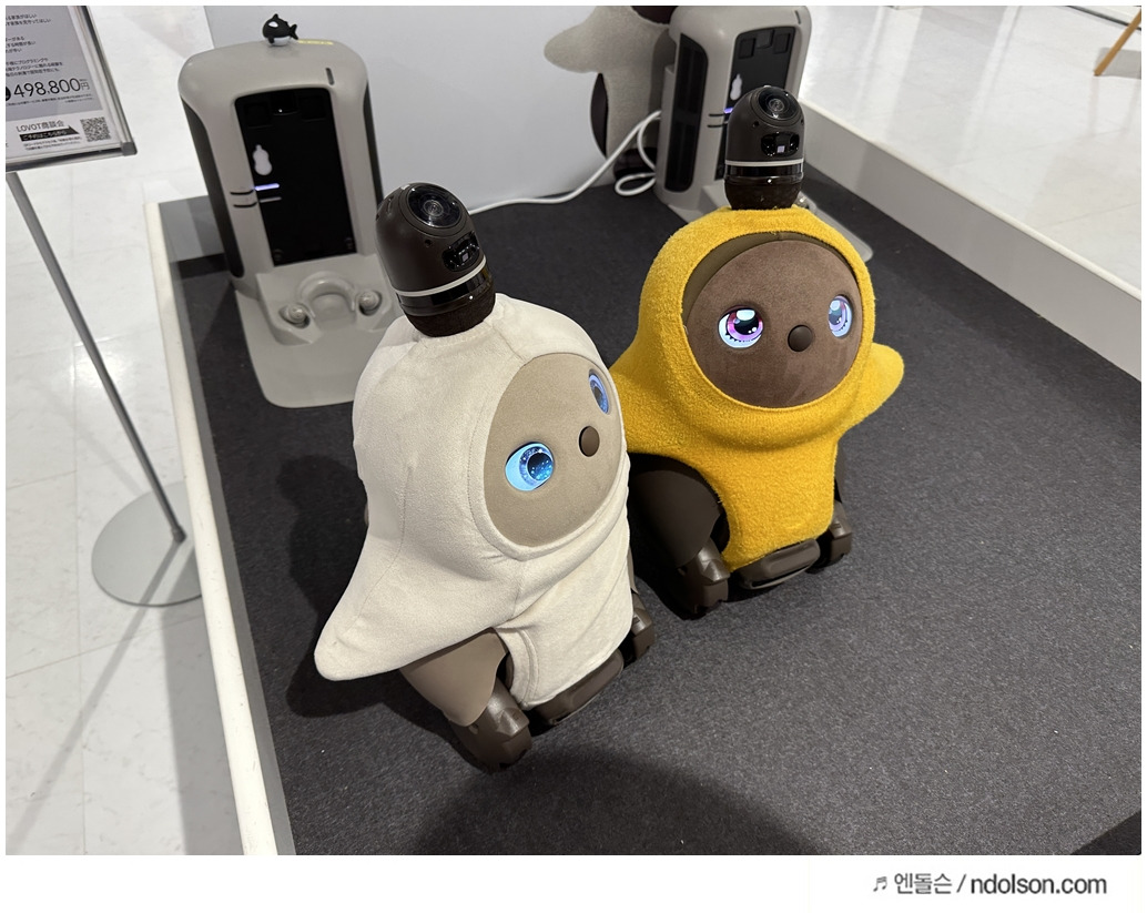 일본 AI인공지능 애완로봇 러봇(LOVOT) 오키나와 이온몰 매장에서 만났네요!