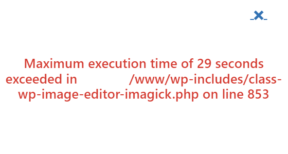 워드프레스 테마 데모 설치 에러 - Maximum execution time of 29 seconds exceeded