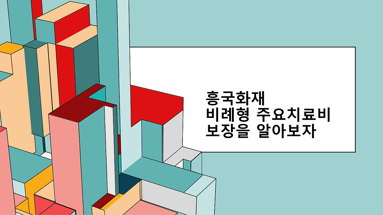 흥국화재 비례형 주요치료비 보장을 알아보자