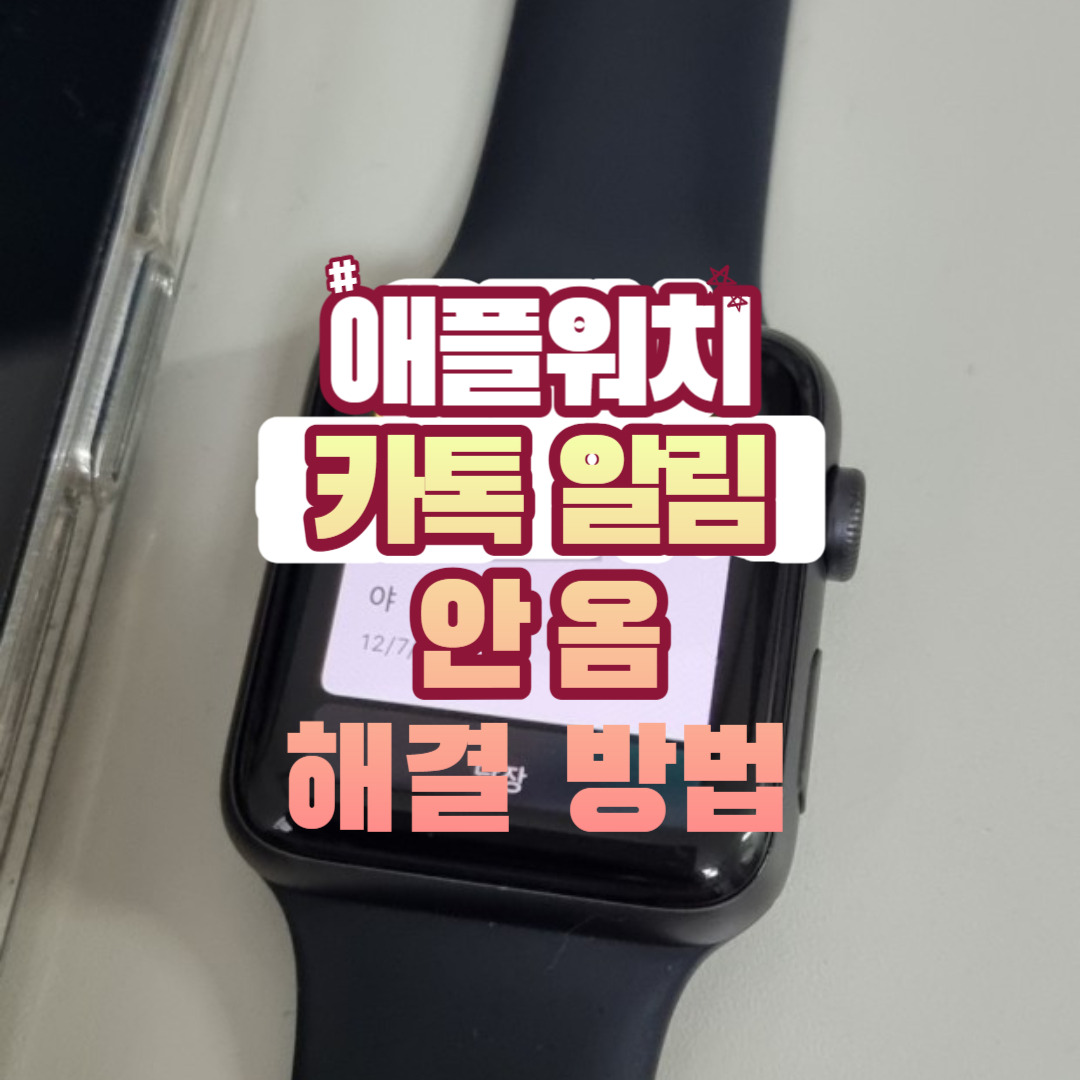 애플워치 카톡 알림 안옴 해결 방법