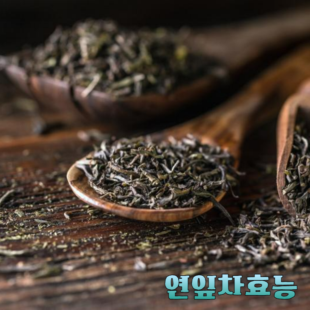 연잎차 효능 성분 만드는법 부작용