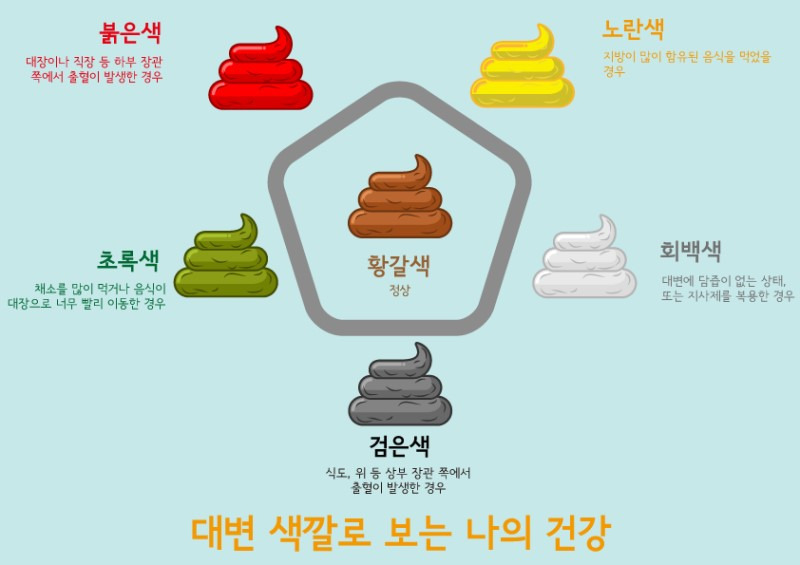 대변 색깔로 살펴보는 건강상태 5가지 녹색초록색 검은색 회색변 흰색변