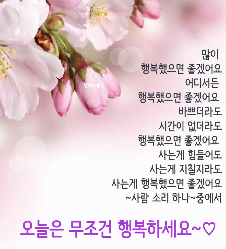 금요일 아침인사말 이미지 20가지 깔끔정리 생활일꾼