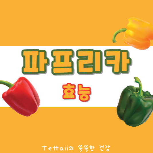 파프리카 효능 부작용 보관방법 정리