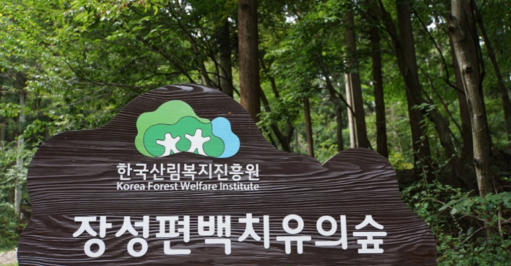 전남 장성축령산 편백숲 자연 휴양림 여행하기