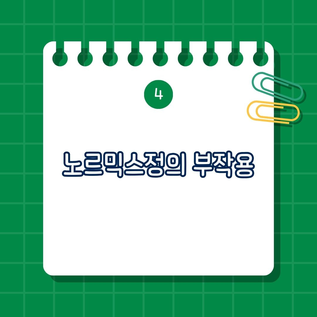 노르믹스정 효능 효과 부작용 주의 사항