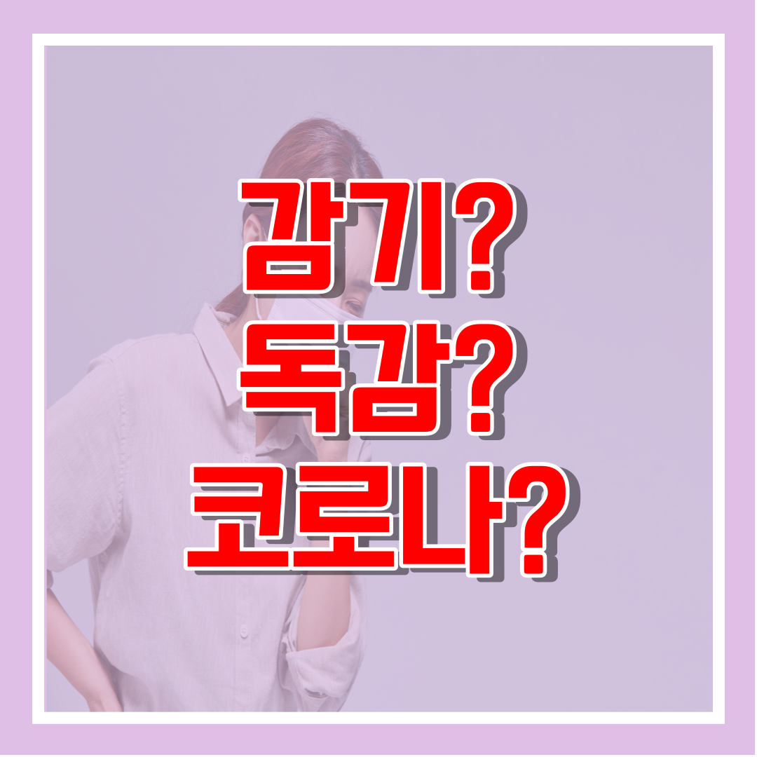 지긋한 감기 독감인가 코로나인가